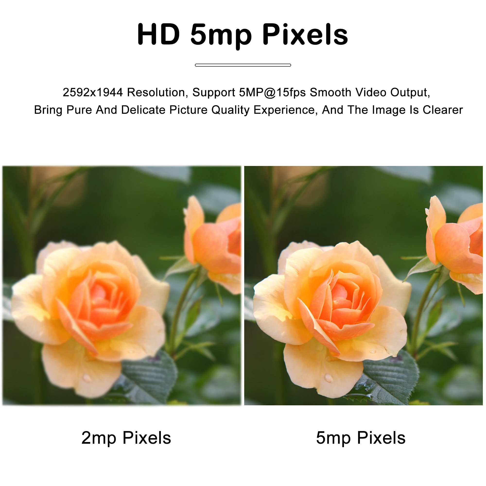 Raspberry Pi Camera Module - 5MP OV5647 Wide Angle Lens