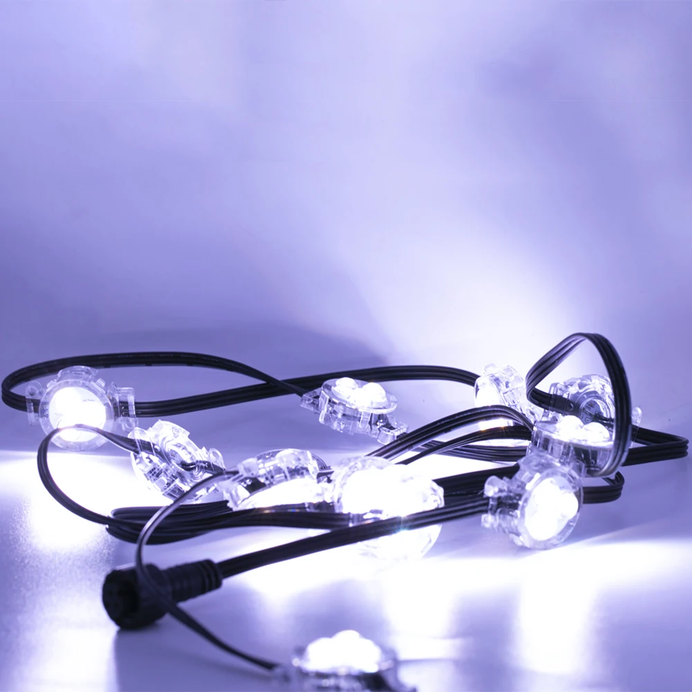 30mm Pixel LED Point Light 12VDC WS2811 SMD 5050 - IP68 RGBW