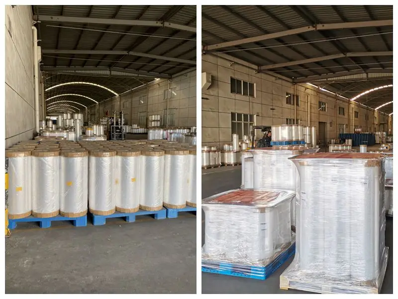 Metalized CPP Film - Versatile and Durable Packaging