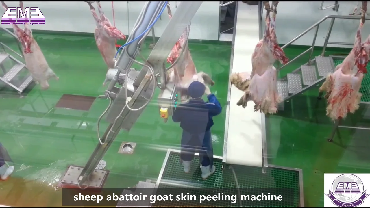 Cattle Sheep Pig Abattoir Equipment Slaughter Machine Sheep ...