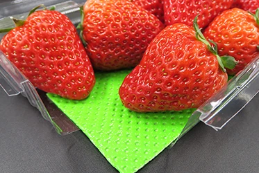 Frozen Chicken Meat Packing Tray With Absorbent Pads Disposable Food ...