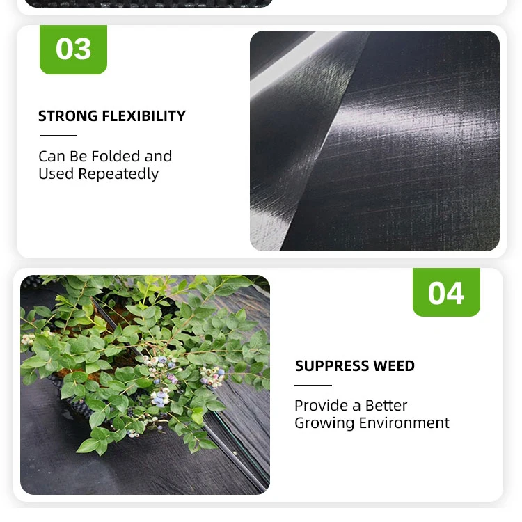 Black Plastic Mulch Landscape Fabric Agricultural Agriculture Woven ...