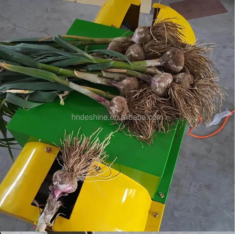 High Efficiency Garlic Stem Leaf Root Cutter Machine Garlic Root Shaver ...