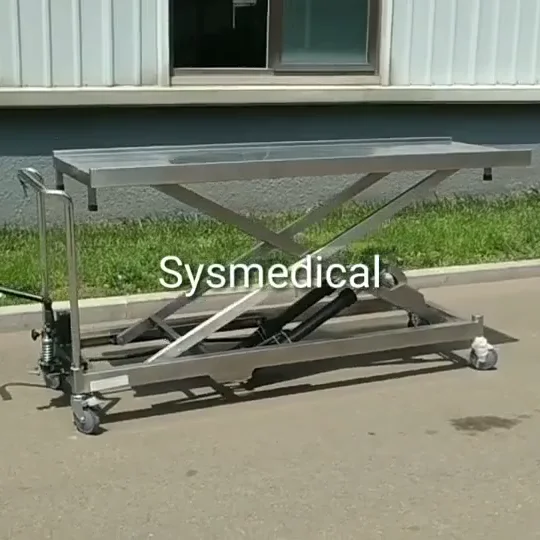 Freezerpalace Funeral Morgue Transport Equipment Mortuary Body Liftiing ...