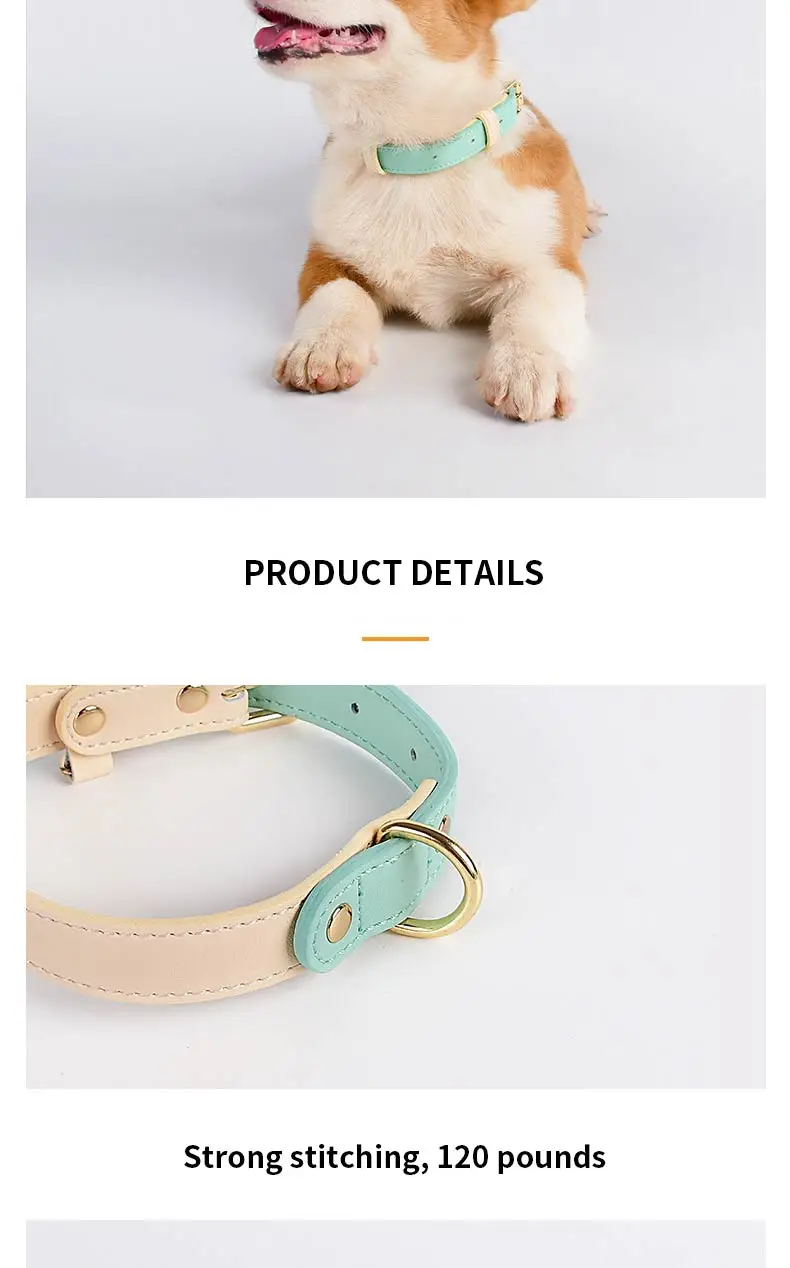 Heavy Duty Training Walking Pet Collar Neck Strap With Poop Bag ...