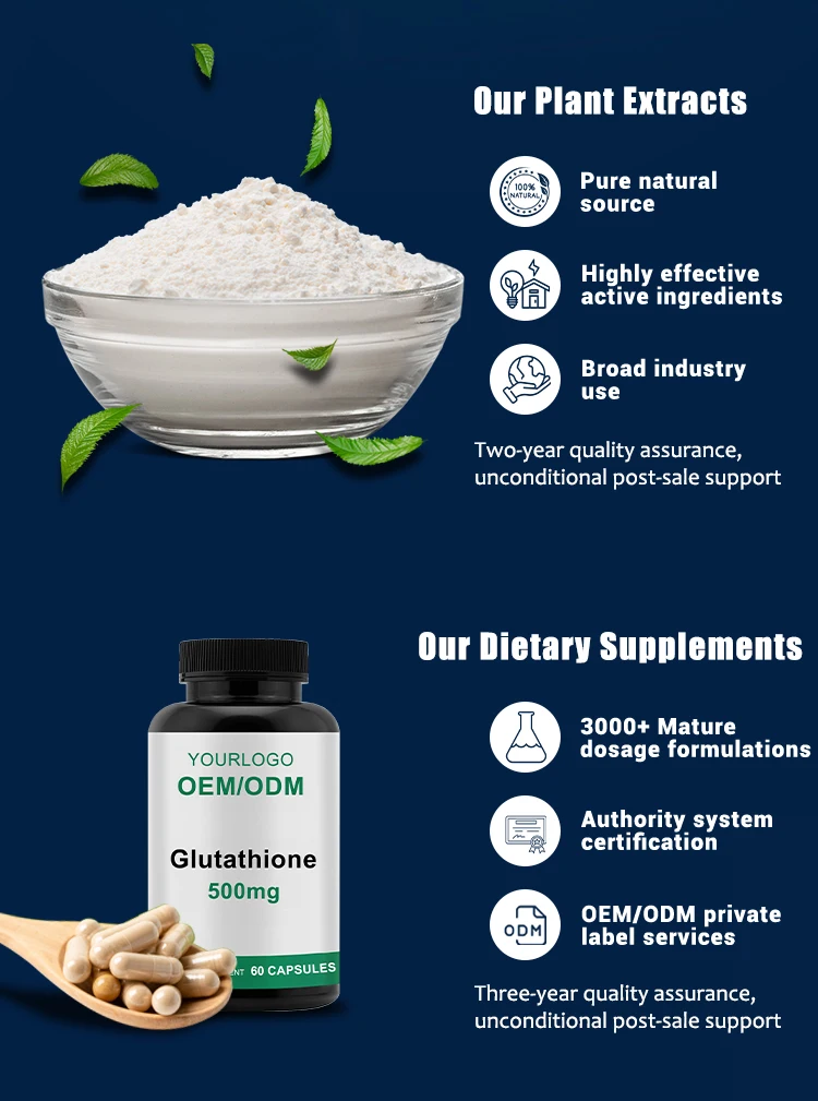 Wholesale Minch Creatine Monohydrate Powder - Optimum Nutrition