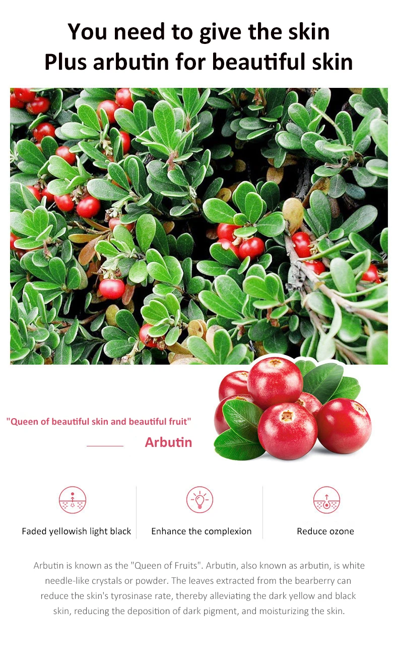 Wholesale Vegan Alpha Arbutin Chitosan Mask Sheet Pack