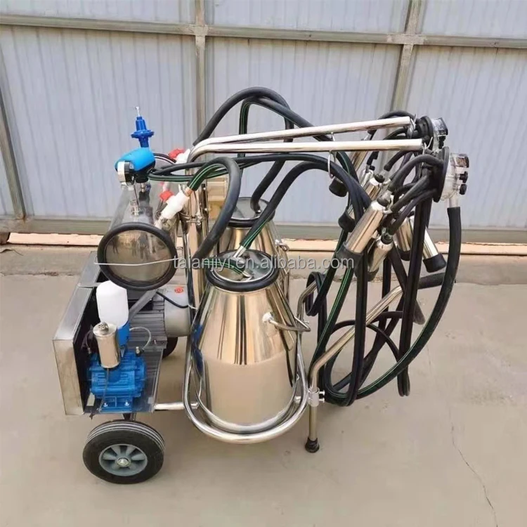 Automatic Cow Milking Machine For Dairy Equipment Available For Sale ...