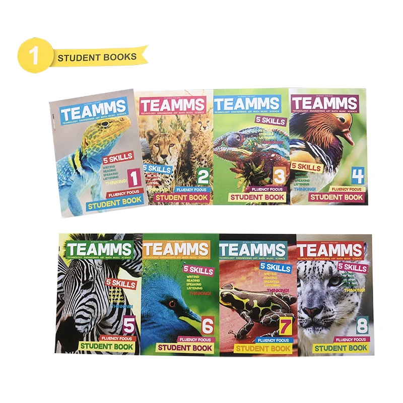 Phonics Reading Primary School 7-12 Years Children Learning English ...