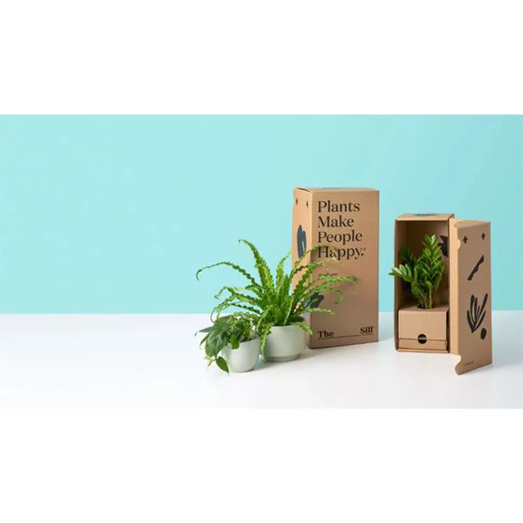 Custom Corrugated Cardboard Potted Indoor Plant Shipping Box