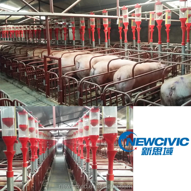 Automatic Pig Feeding Equipment - Efficient & Reliable