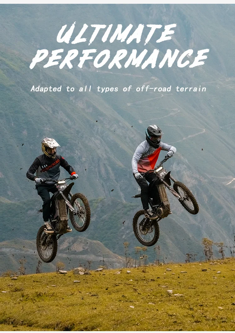 The Chun Sunny Light Bee X 6000W Electric Fat Tire Bike - 60V 6-Speed ...