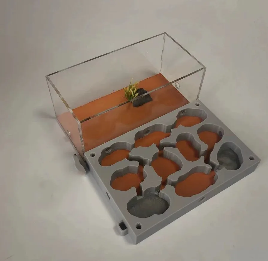 Custom Clear Acrylic Ant Queen Breeding Castle Ant House Ant Housing ...
