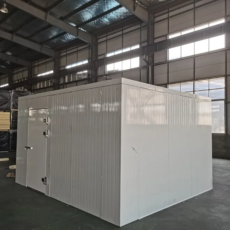 20ft Mobile Container Best Solar Power Cold Storage Room For Fish Meat ...