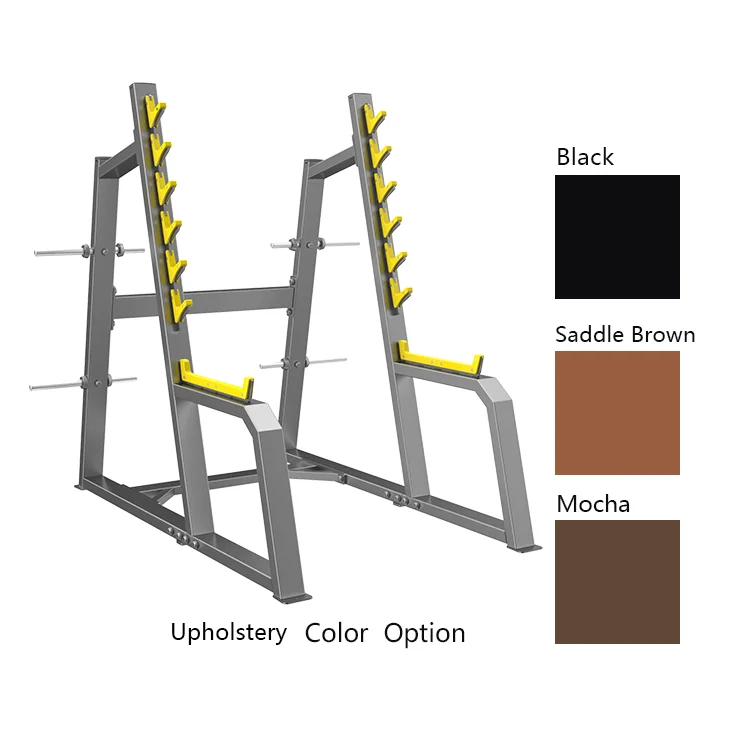 DHZ Gym Equipment E3050 Squat Rack - Foldable & Eco-friendly
