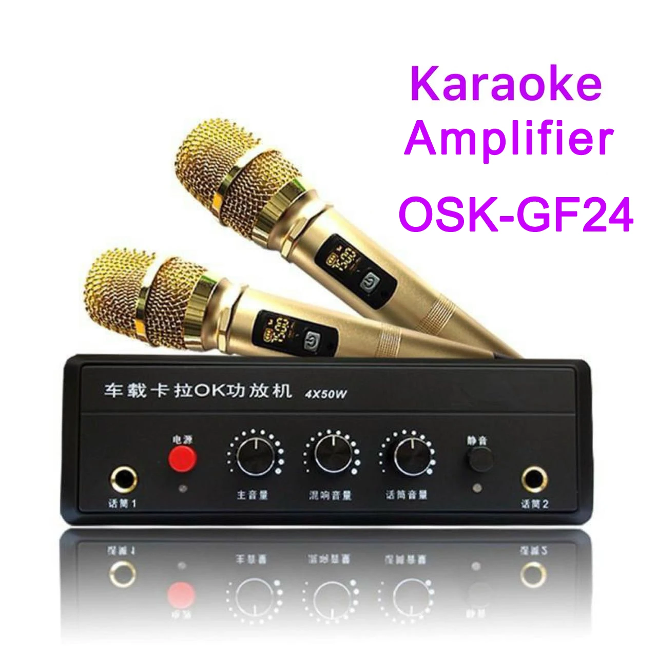 Car Karaoke Amplifier / Car Amplifier/ EW-Series / DJ-Series/4x30W, 24V ...