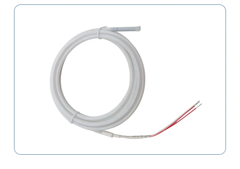 PT100 Temperature Sensor - Heraeus Germany Imported, Class 2B Accuracy ...
