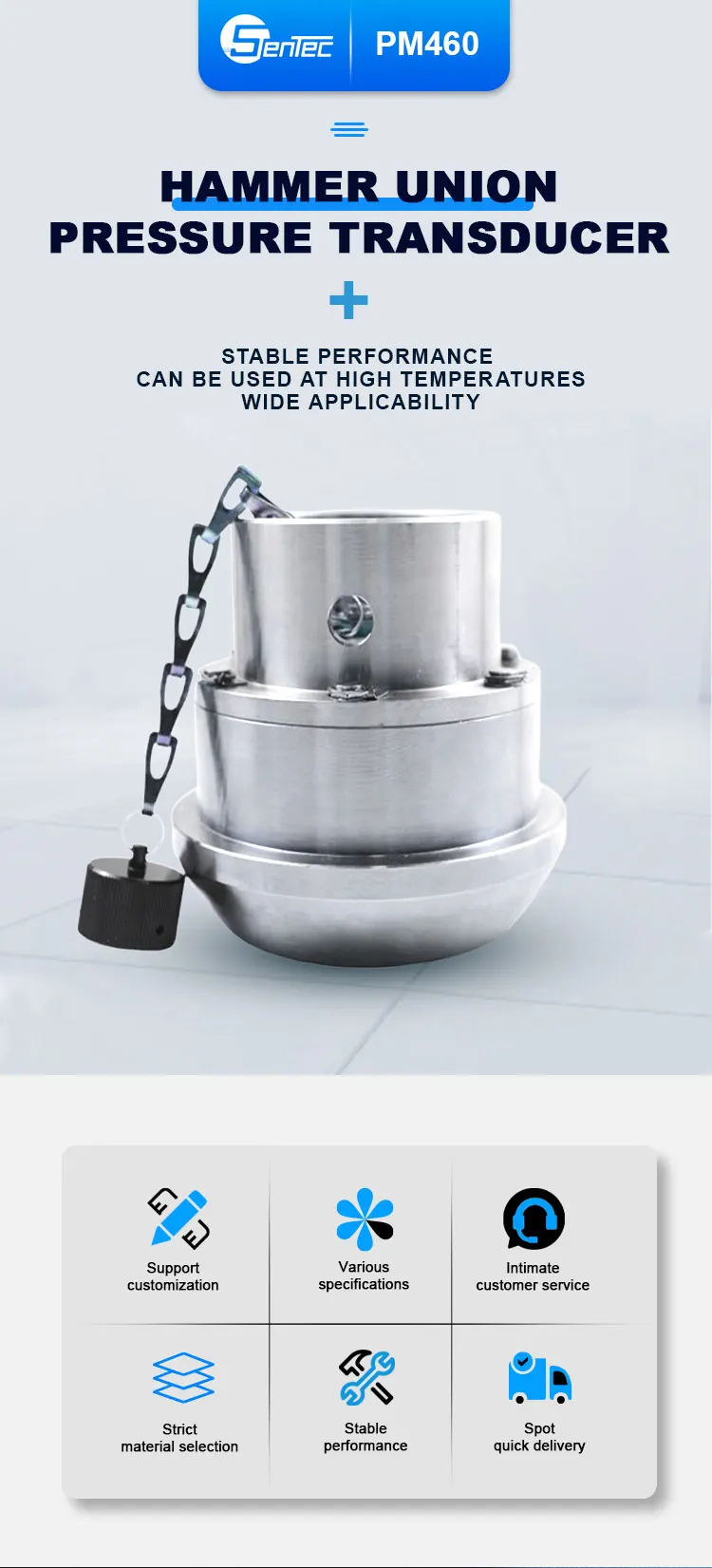 Pm460 Hammer Union Pressure Transmitter With Wing Union Fittings-for ...