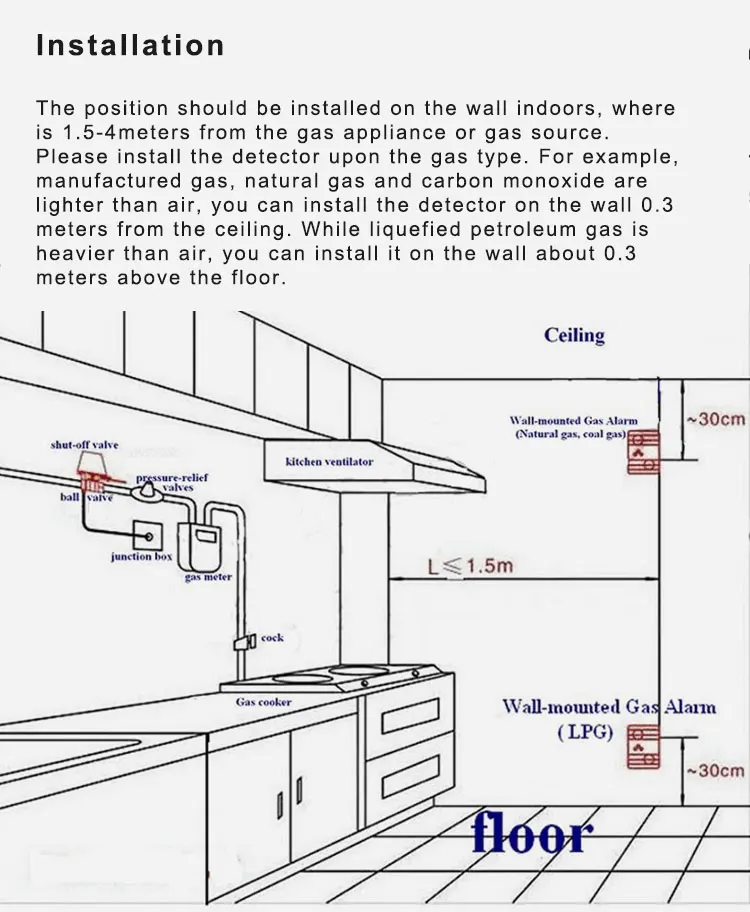 Factory Wall Mounted 12V/220V LPG Gas Leak Detector Price