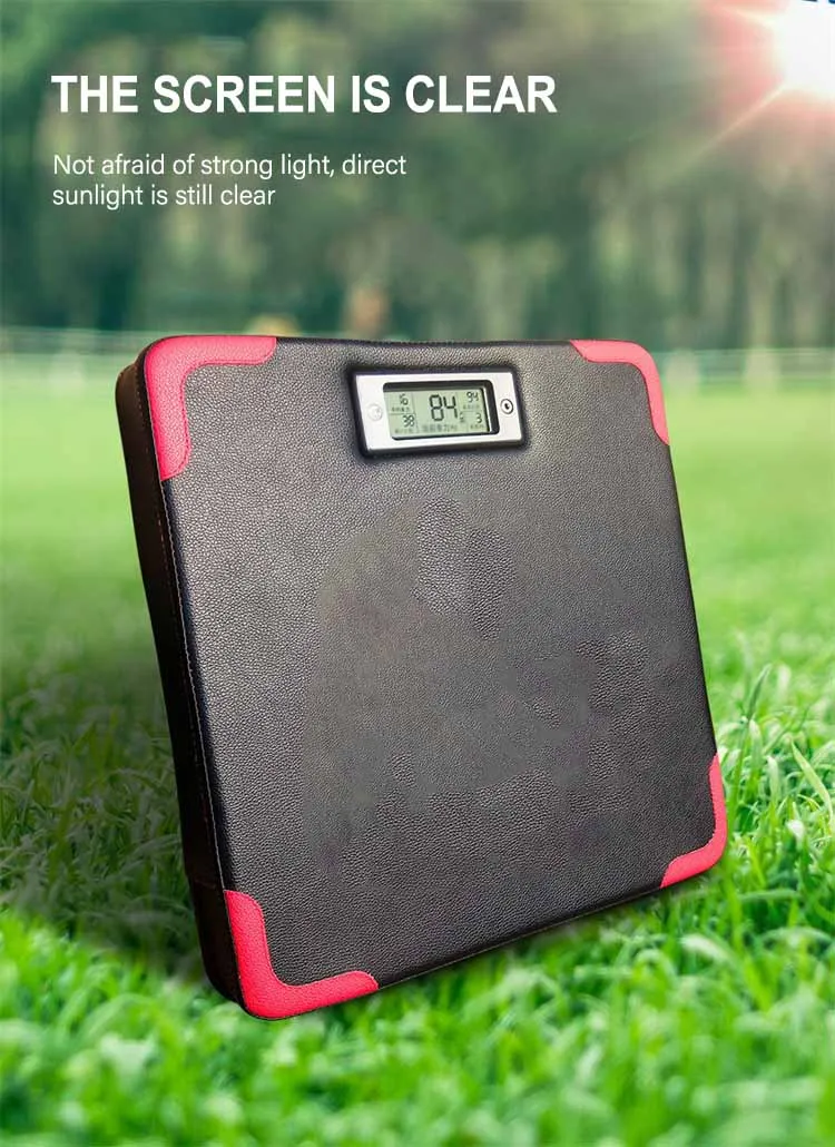 High Quality Sandbag Digital Punch Boxing Wall Target Pad - Ideal For ...
