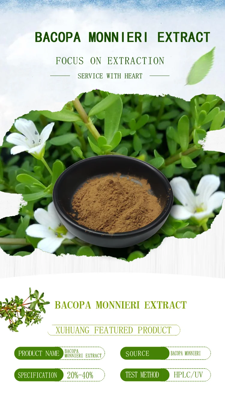 Bacopa Monnieri Extract Bacoside Bacopa Extract Powder - Buy Bacopa ...