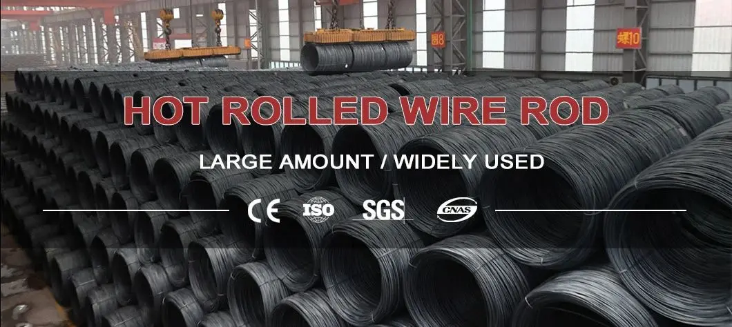 Sae 1070 1700mpa Spring Steel Wire Rod For Springs And Spring Washers ...