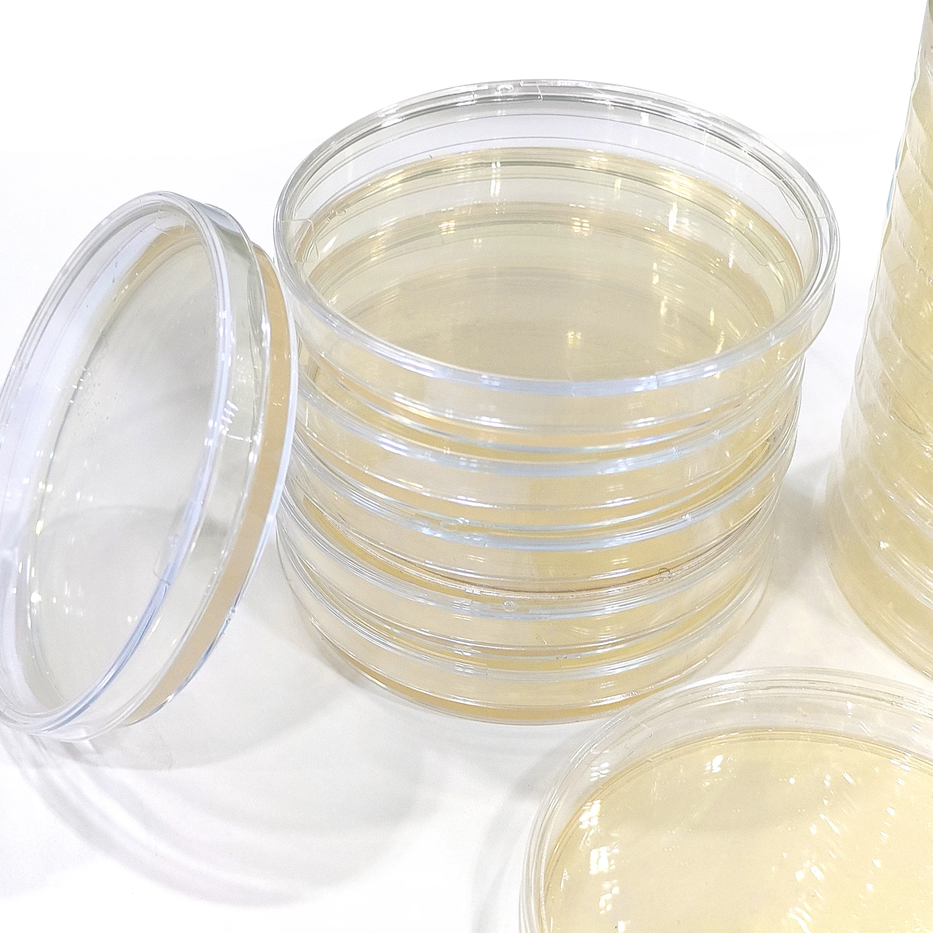 Ready to Use MacConkey Agar Plate Medium| Alibaba.com