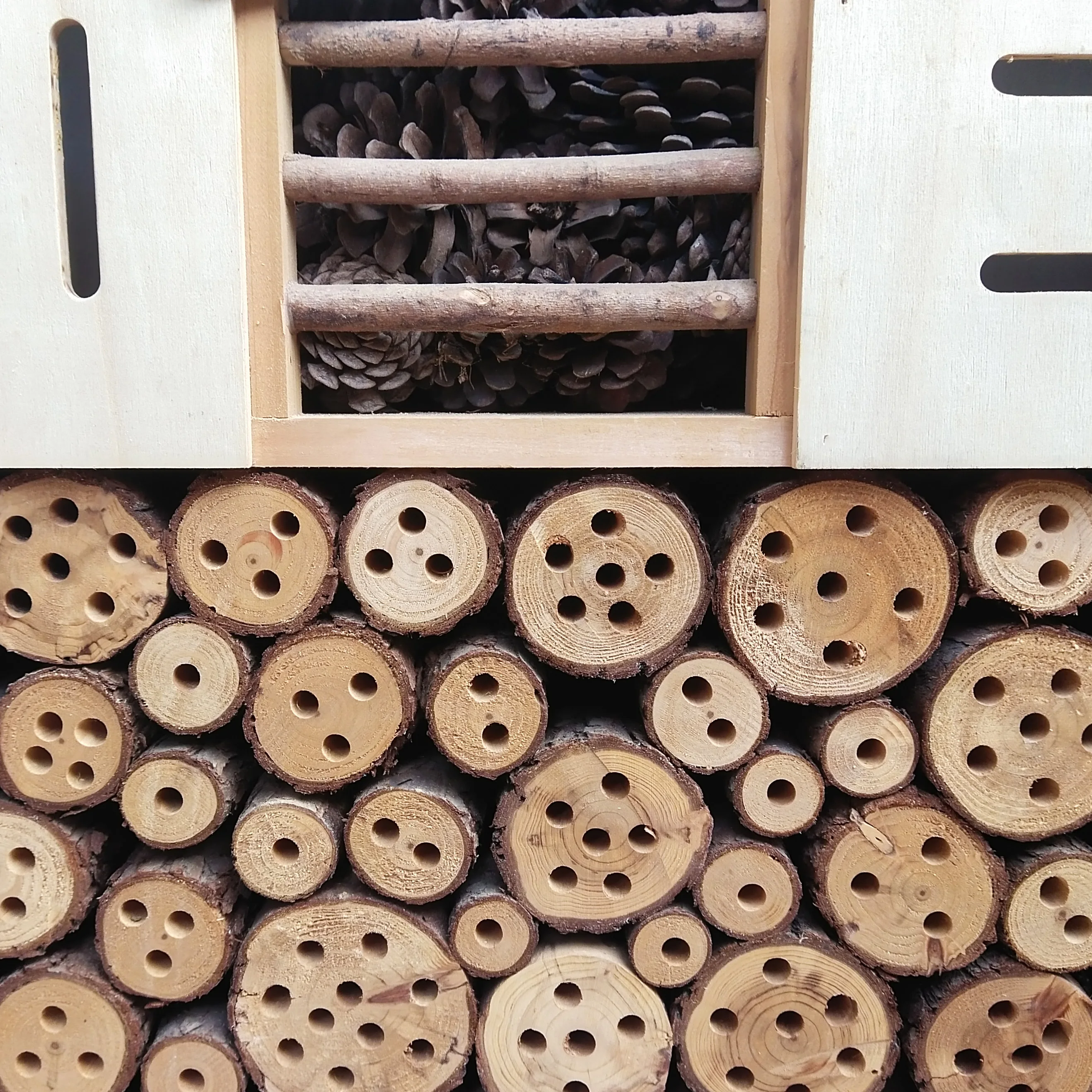 2021new Functional Garden Wooden Bee Insect House/insect Hotel Craft ...