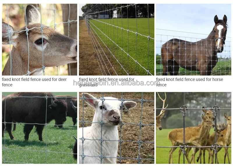 Poly Deer Fence - Durable, Eco-Friendly, and Easy to Install