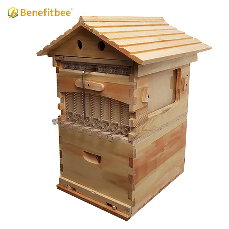 Benefitbee Automatic Self-Flowing Bee Hive - Apiculture
