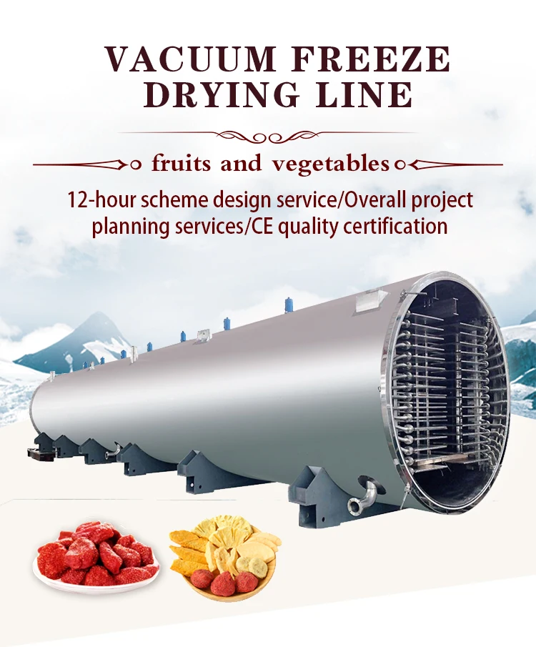 TCA Automatic Commercial Freeze Drying Machine - High Productivity