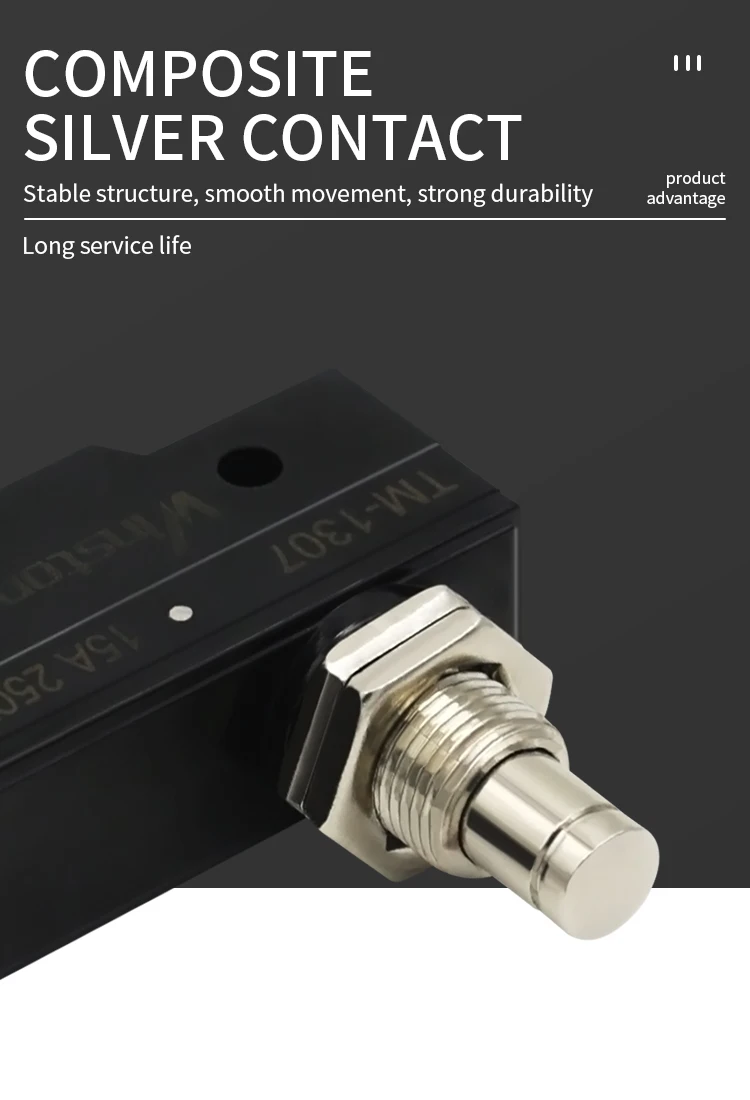 Tm-1307 15a Waterproof Electric General Purpose Roller Top Button Plunger Micro Switches - Buy ...