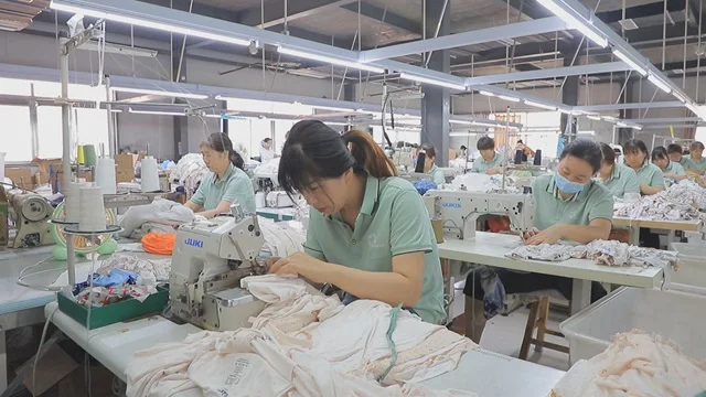 Company Overview - Taian Lianchuang Textile Co., Ltd.