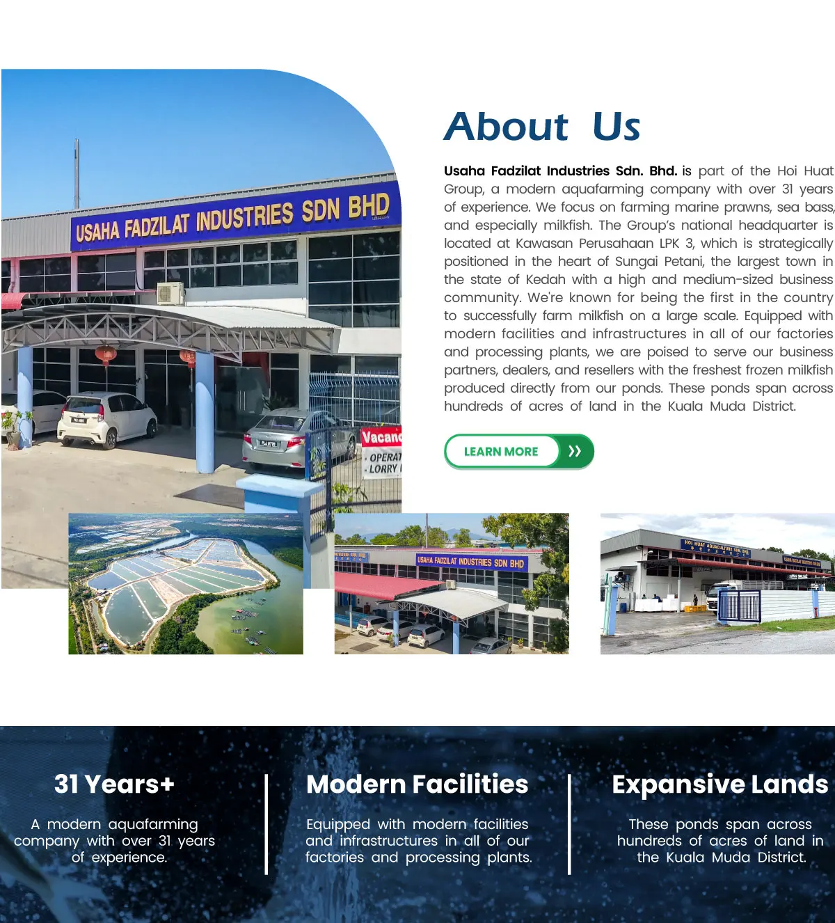 Standard 600 Gram Frozen Deboned Milkfish Rich In Vitamin A Halal ...