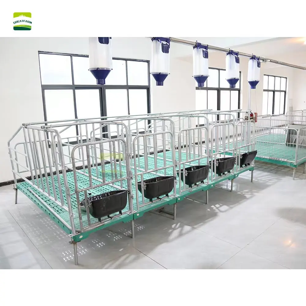 Best Price Gestation Pen Sow Gestation Crate for Good Quality Cow Pig ...