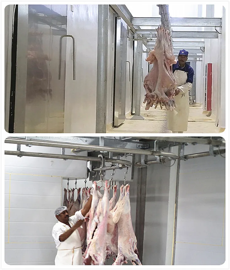 Ritual Ram Abattoir Equipment For Lamb Slaughter House Meat Process ...
