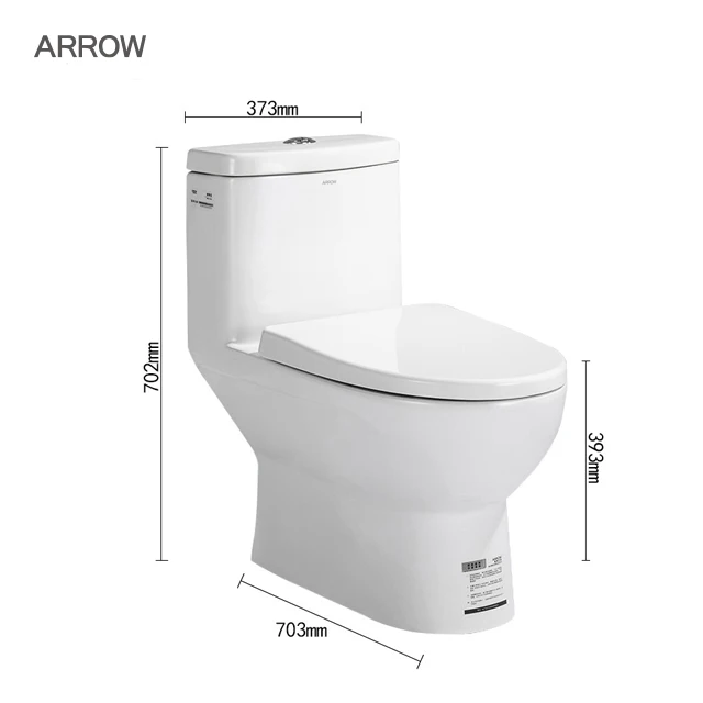 ARROW One Piece S-Trap Toilet - Modern, Efficient, and Durable