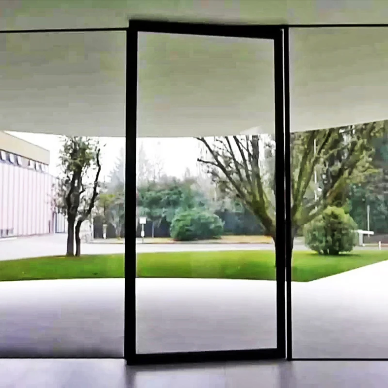 Forster Profile Steel Door Frame Pivot Entry Doors Modern Tempered ...