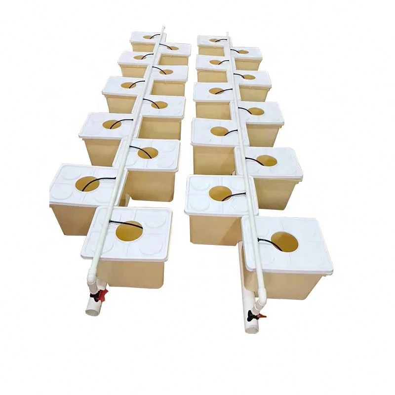Hydroponic Dutch Bato Bucket System - Efficient Growing