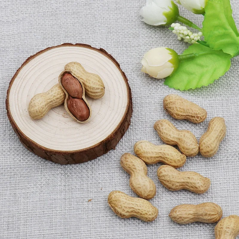 Salted Peanut Fried Peanut Baked Groundnut Kernel Skinless