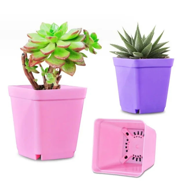 Gardening Mini Small Flower Pot Colorful Succulent Pot Little Plastic ...
