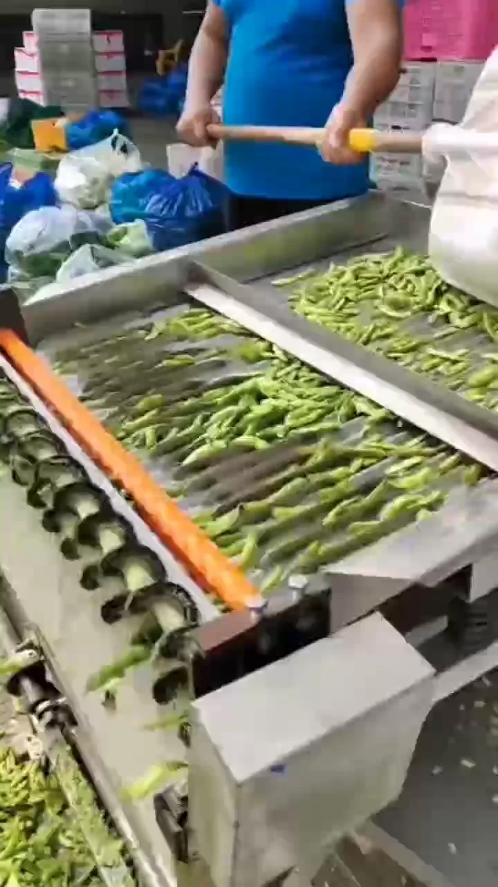 Soybean Huller Machine Pigeon Pea Broad Mung Bean Shelling Machine Soy ...