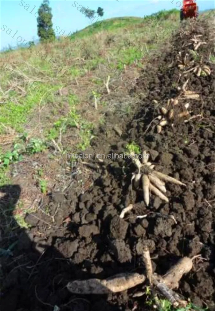 Hot Sale New Designed Cassava Harvester Cassava Roots Harvesting ...
