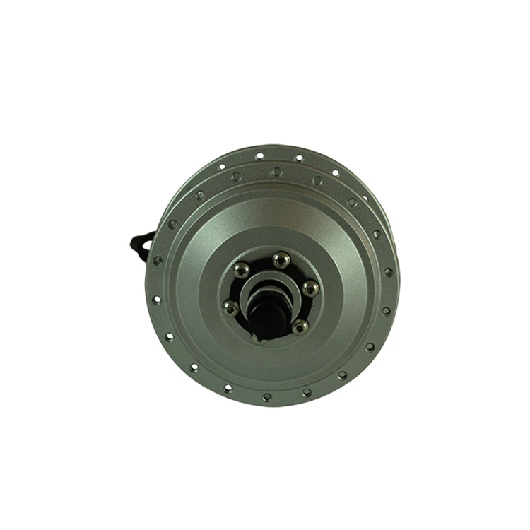 250 Watt Hub Motor Electric Bike Kit - High Quality Performance