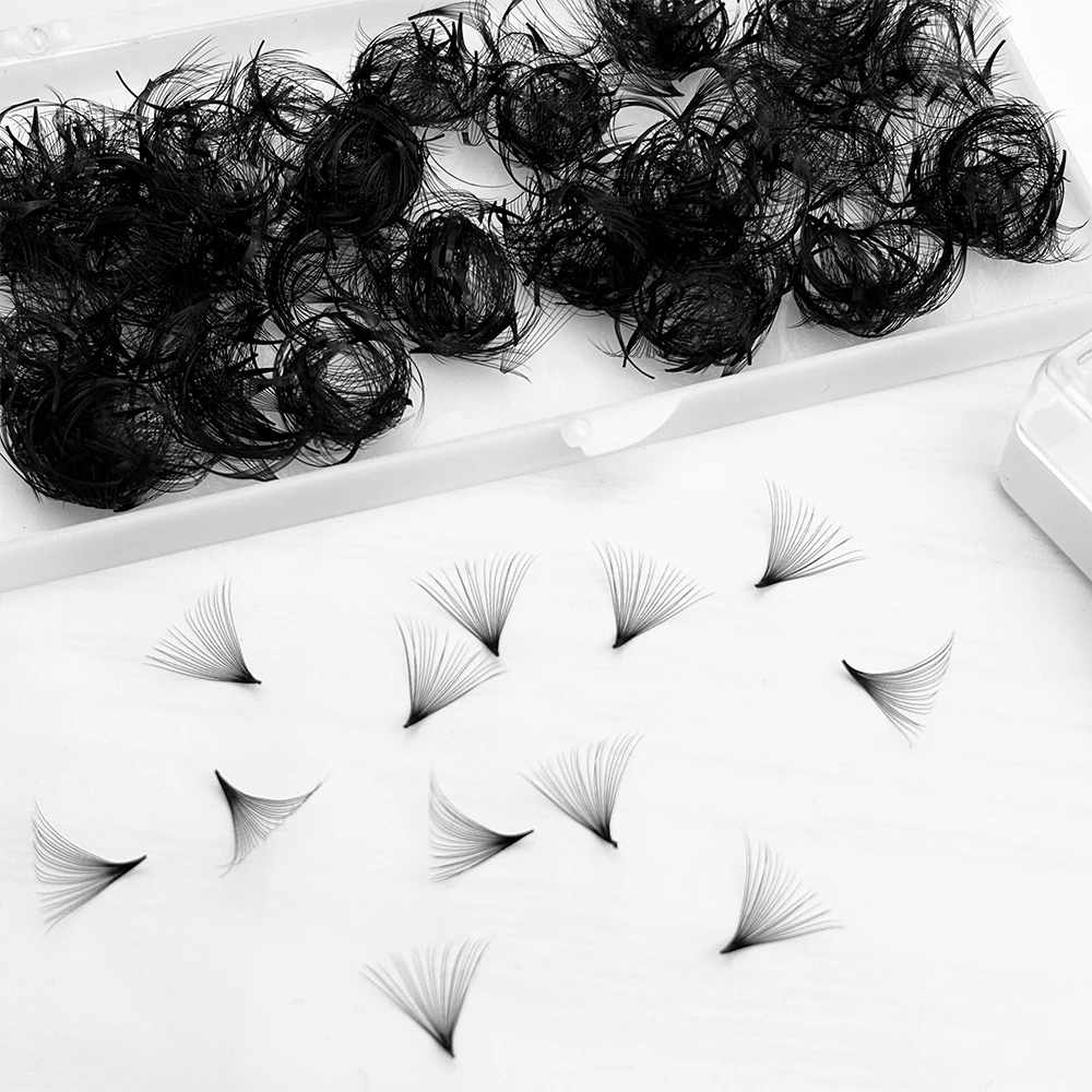 Abonnie 3d-20d Wispy Loose Promade Fans 1000 Box Premade Volume Pro ...