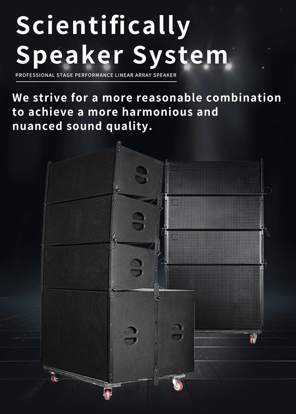 DCW210 Dual 10 Inch Line Array Sound System - Professional Quality