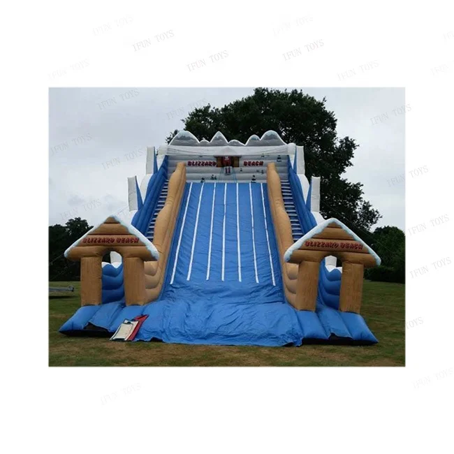 Outdoor Basic Commercial Large Outdoor Game Princess Inflatable Dry ...