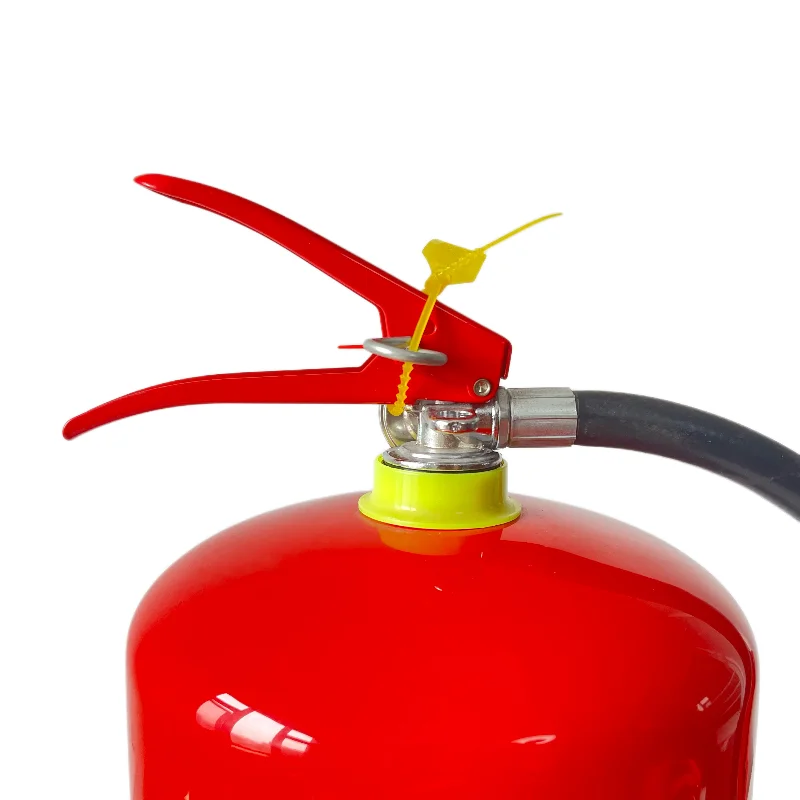 Wholesale Fire Extinguisher Spray AFFF 9L Foam Fire Extinguisher for ...