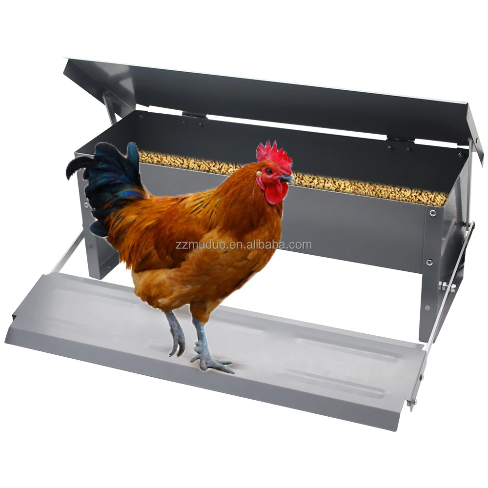 Treadle Chicken Feeders - Efficient Automatic Feeding