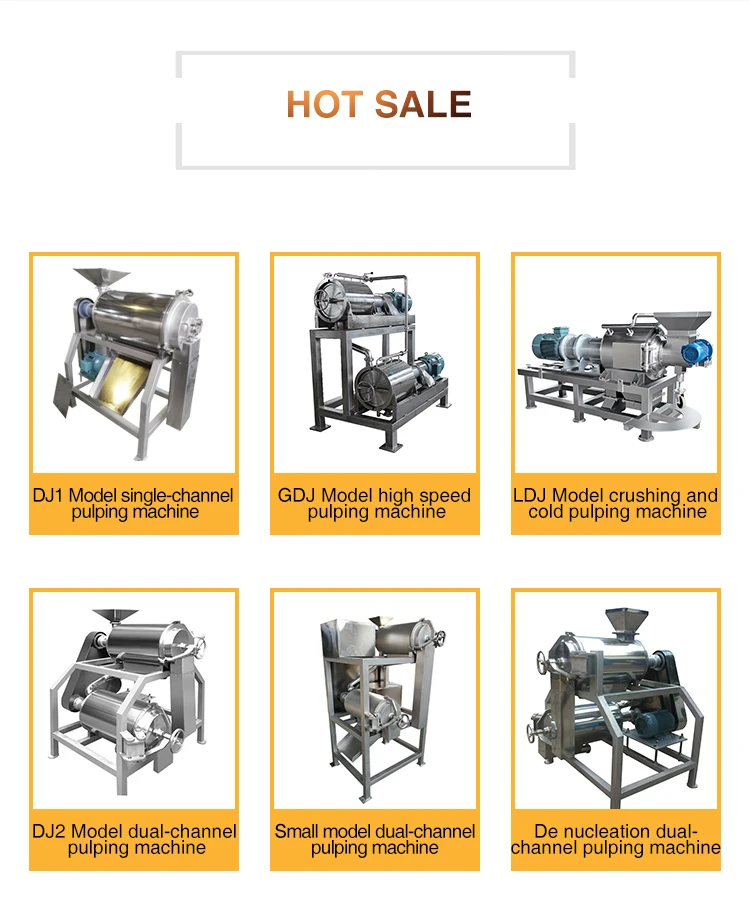 Fruit Destoner and Pulper for Mango - Efficient & Durable